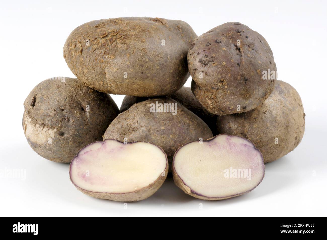 Potatoes 'Shetland Black', potatoes (Solanum tuberosum) 'Shetland Black ...
