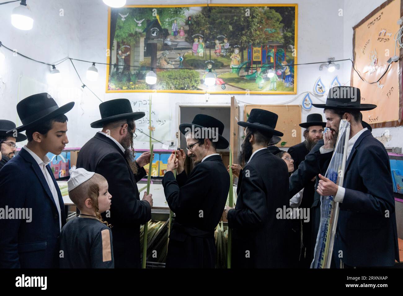 Ultra-Orthodox Jewish men inspect palm fronds to determine if they are ...