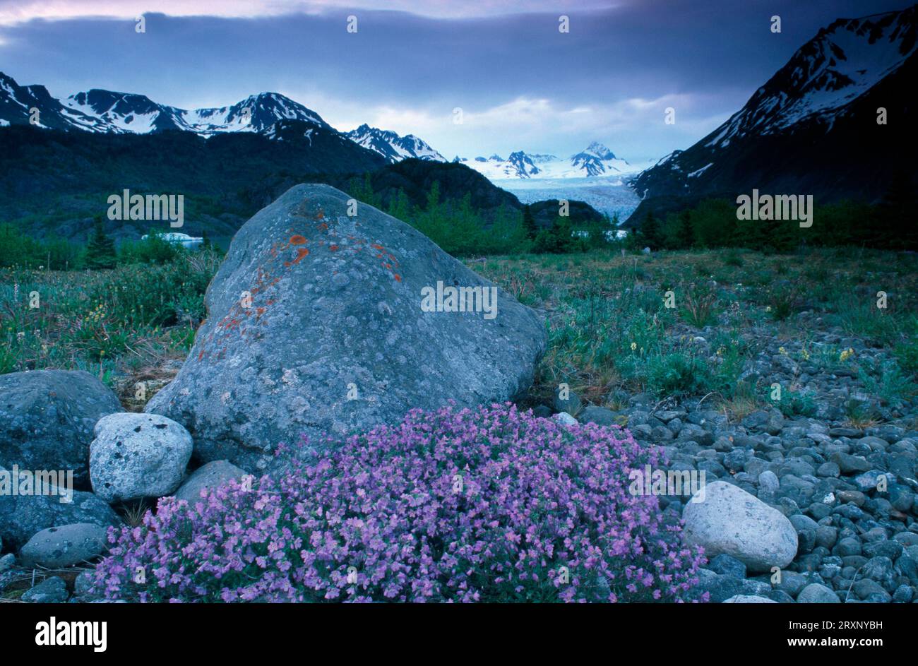 Rocks in front of the Grewingk Glacier, Kachemak State Park, Alaska ...