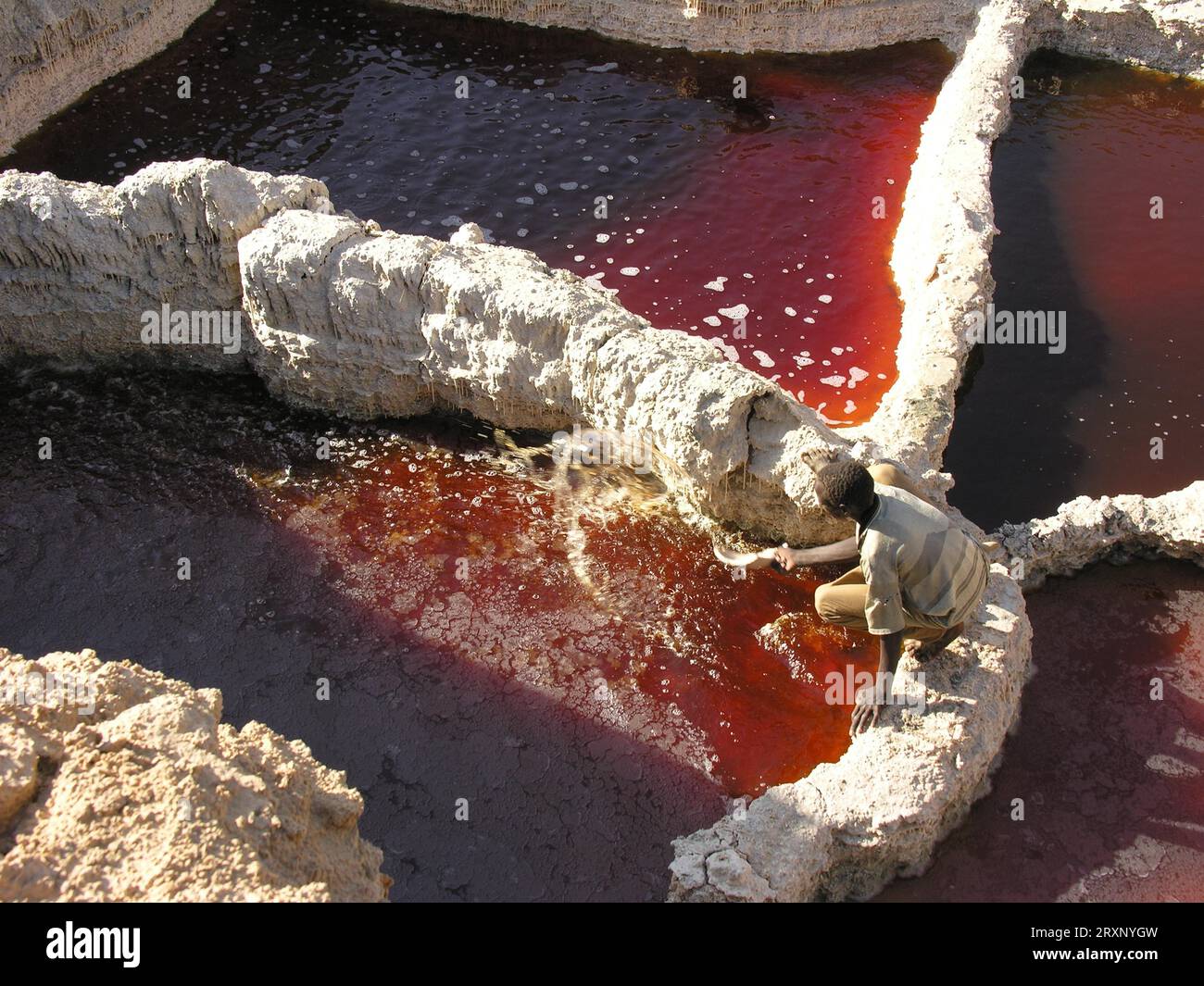 In the Fachi and Bilma salt pans, the saline groundwater is collected ...
