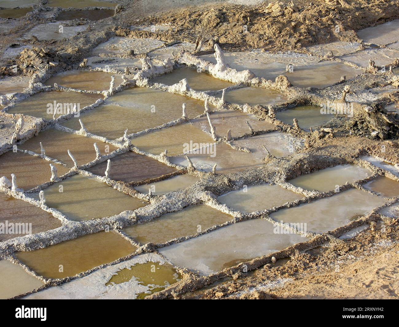 In the Fachi and Bilma salt flats, the saline groundwater is collected ...