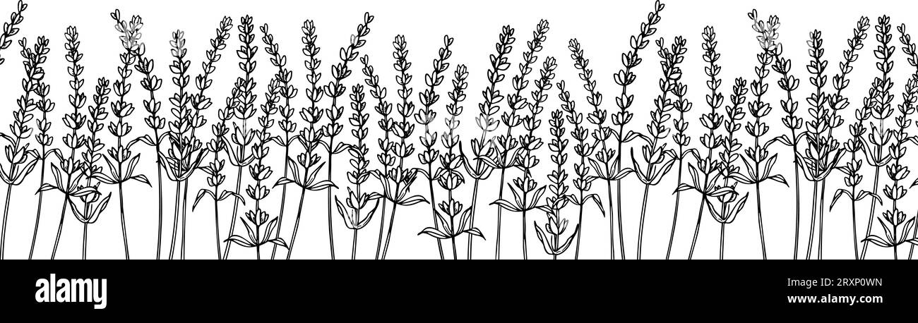 Floral engraving Black and White Stock Photos & Images - Alamy