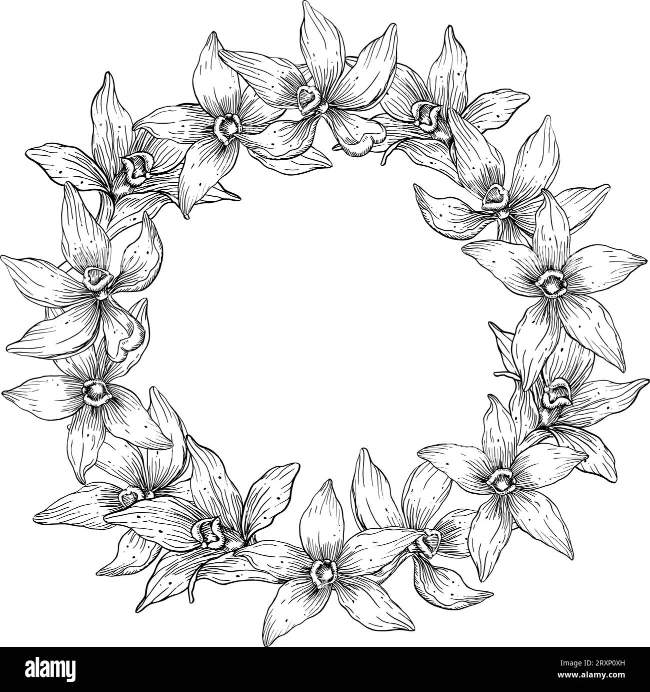 Vanilla Flowers Wreath. Hand drawn vector illustration of floral spice ...