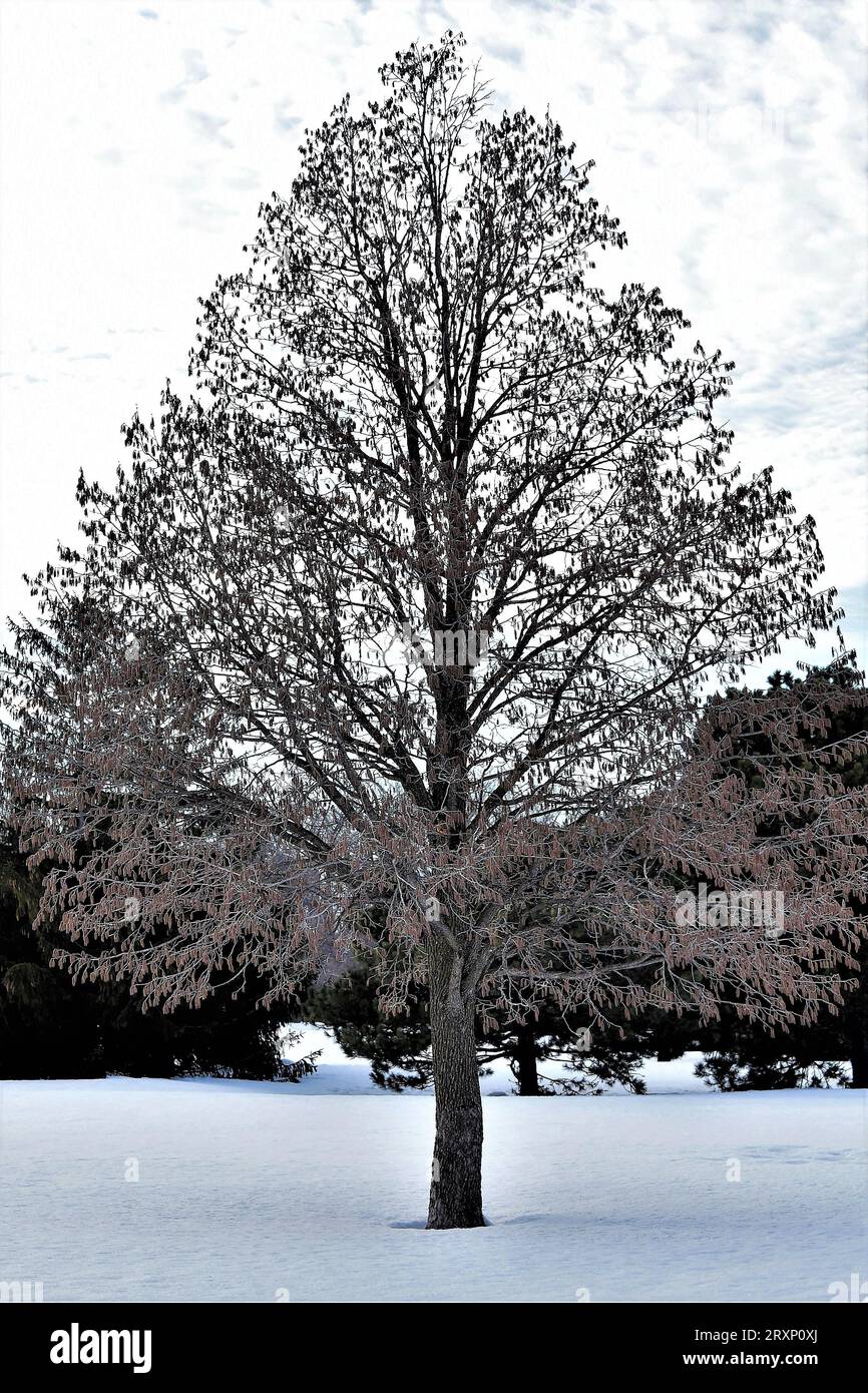 Forming triangle hi-res stock photography and images - Alamy