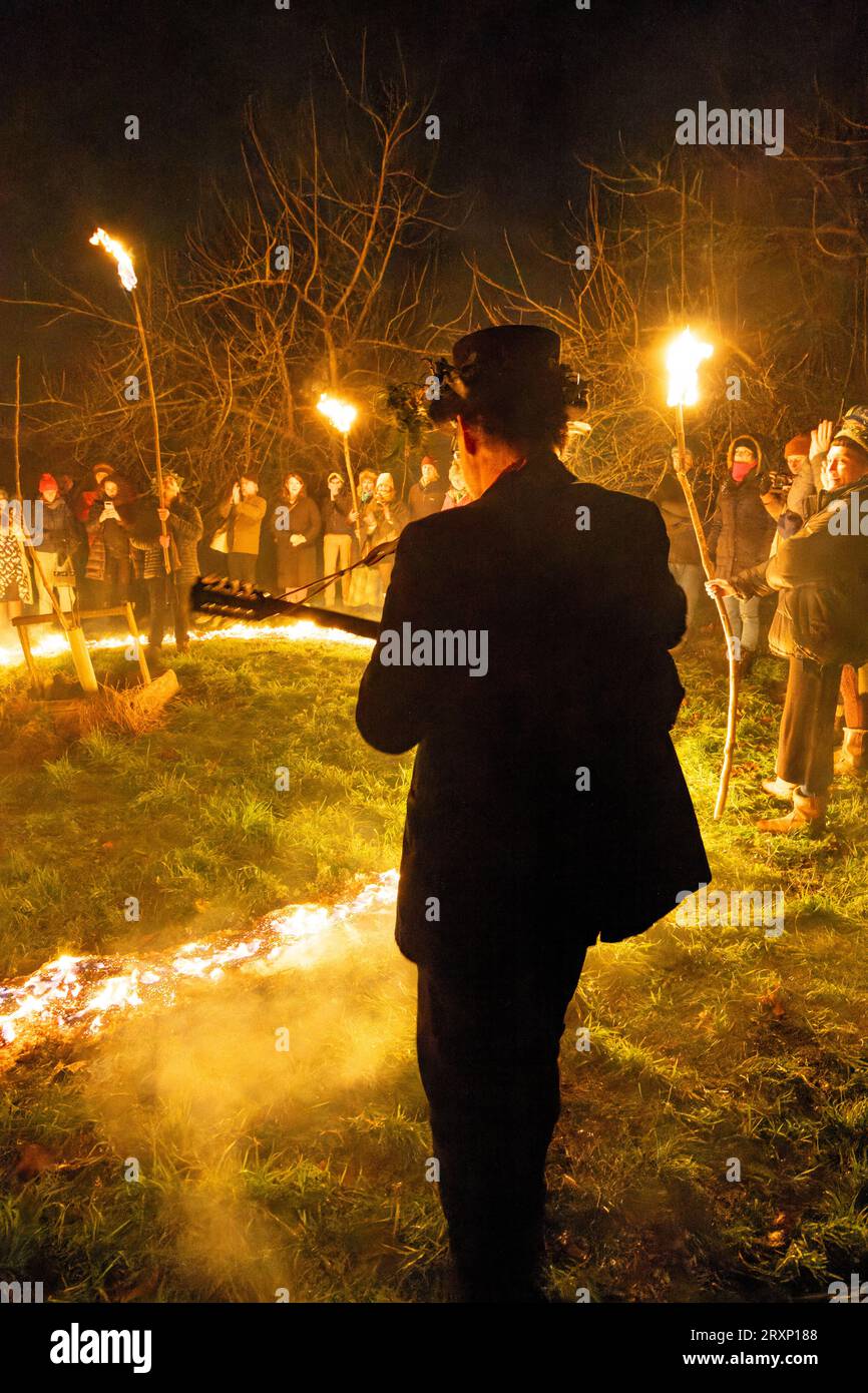 Traditional wassailing ceremony with torchlit gathering around apple ...