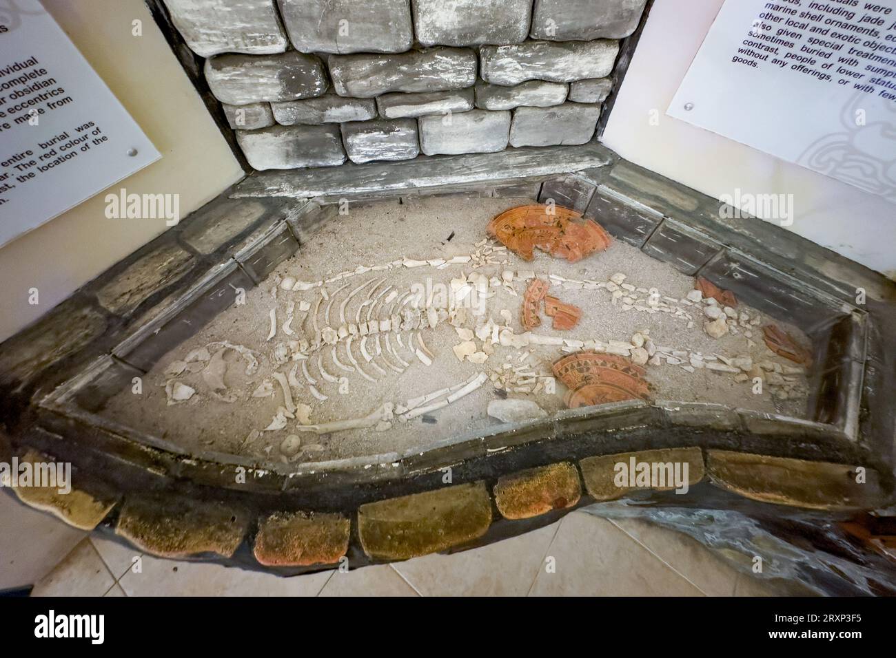 Recreation of Burial A4-2 in the museum in the Xunantunich ...