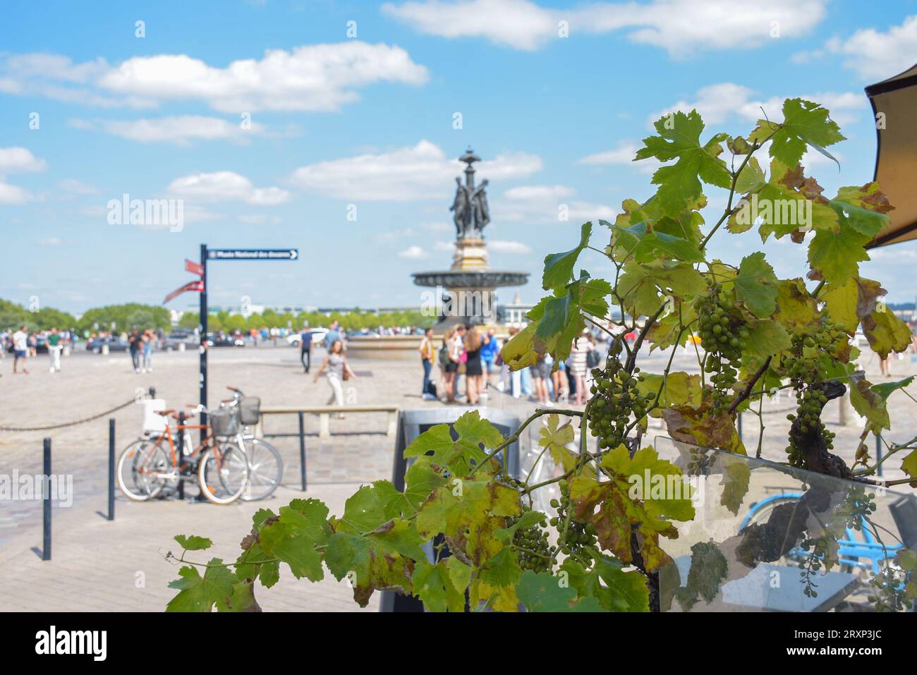 Bordeaux, hub of the famed wine-growing region, is a port city on the ...