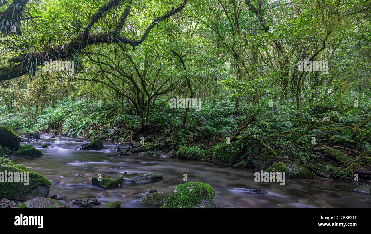 Long exposure panorama picture of a river flowing through a rain forest ...
