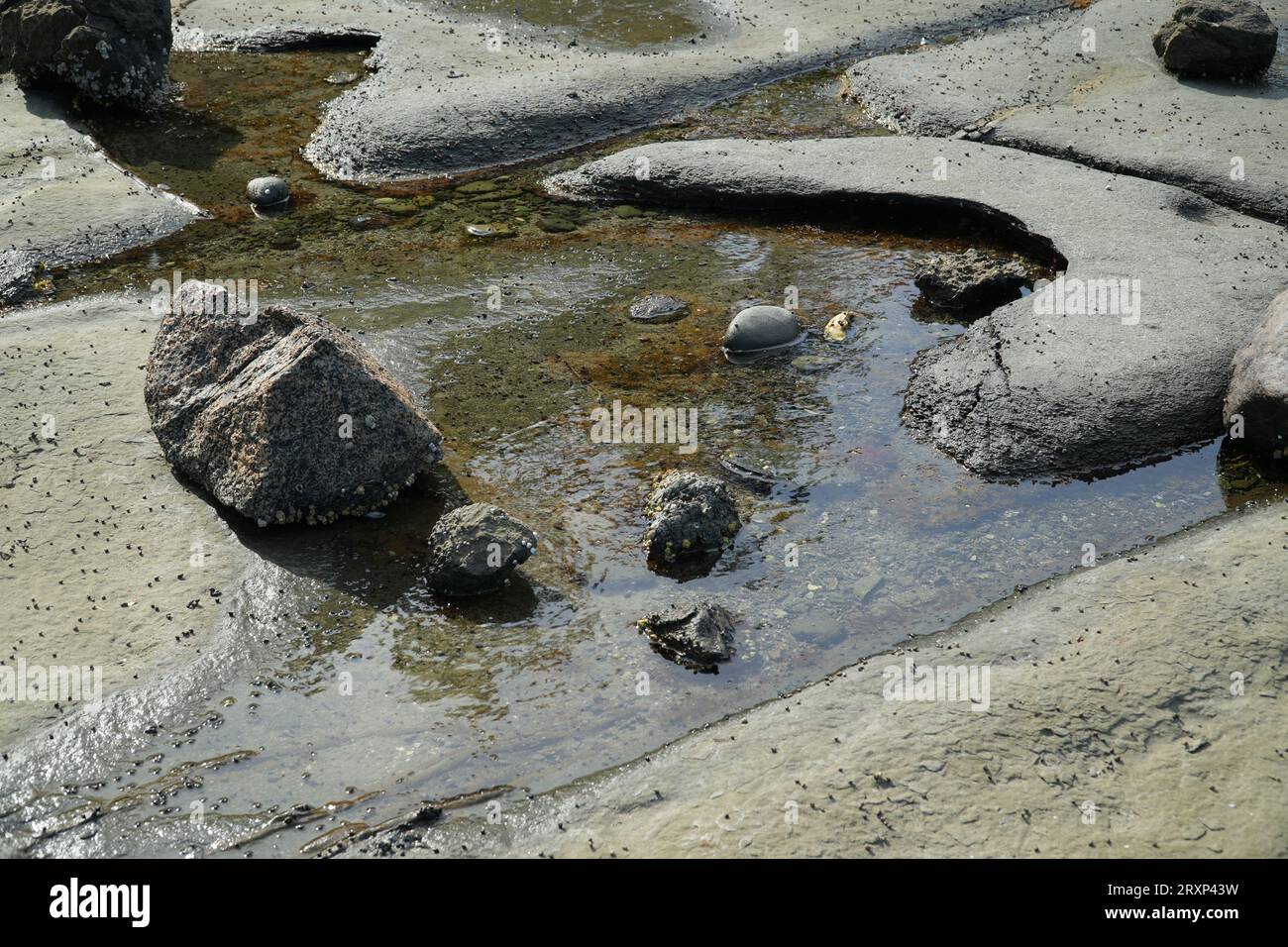 Volcanic Tide Pool Stock Photo - Alamy