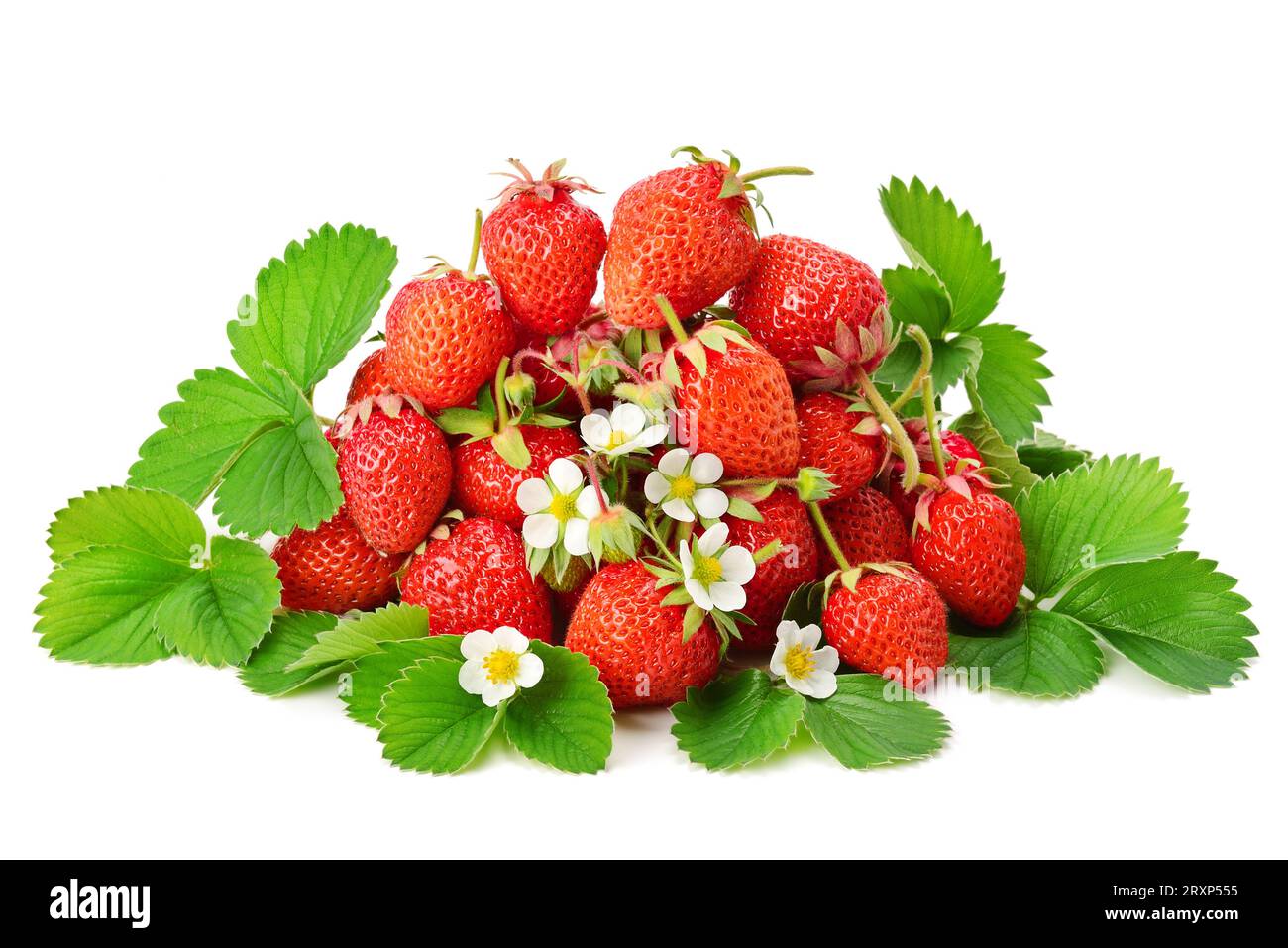 strawberry isolated on a white background Stock Photo - Alamy