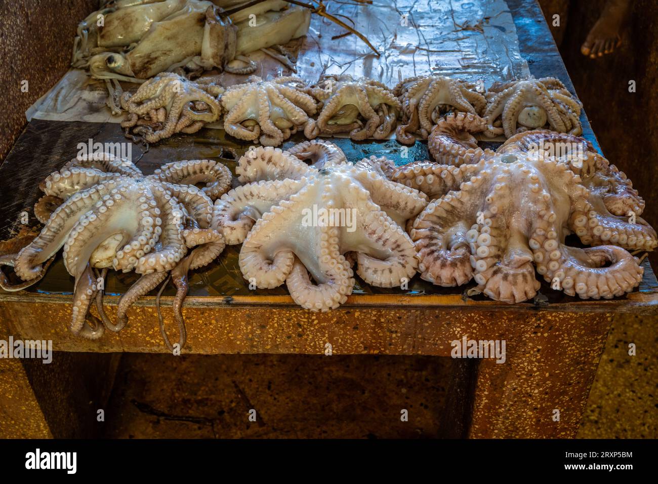 Fresh octopus for sale on local market in Stone town, Zanzibar ...