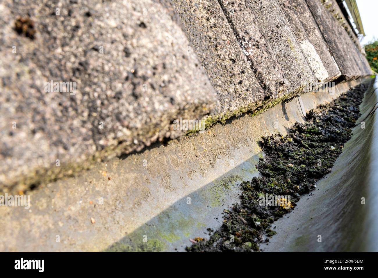 dirt in the galvanized rain gutter of a residential building Stock ...