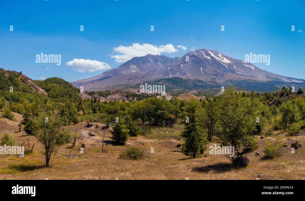 WASHINGTON, USA - Mount St. Helens National Volcanic Monument, Gifford ...