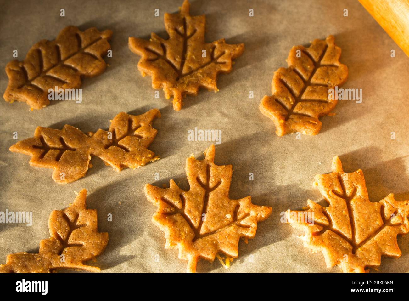 Autumn leaf shaped cookie of gingerbread dough. Rolling pin and spicy ...
