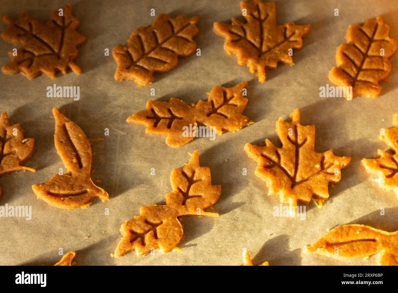 Autumn leaf shaped cookie of gingerbread dough. Rolling pin and spicy ...