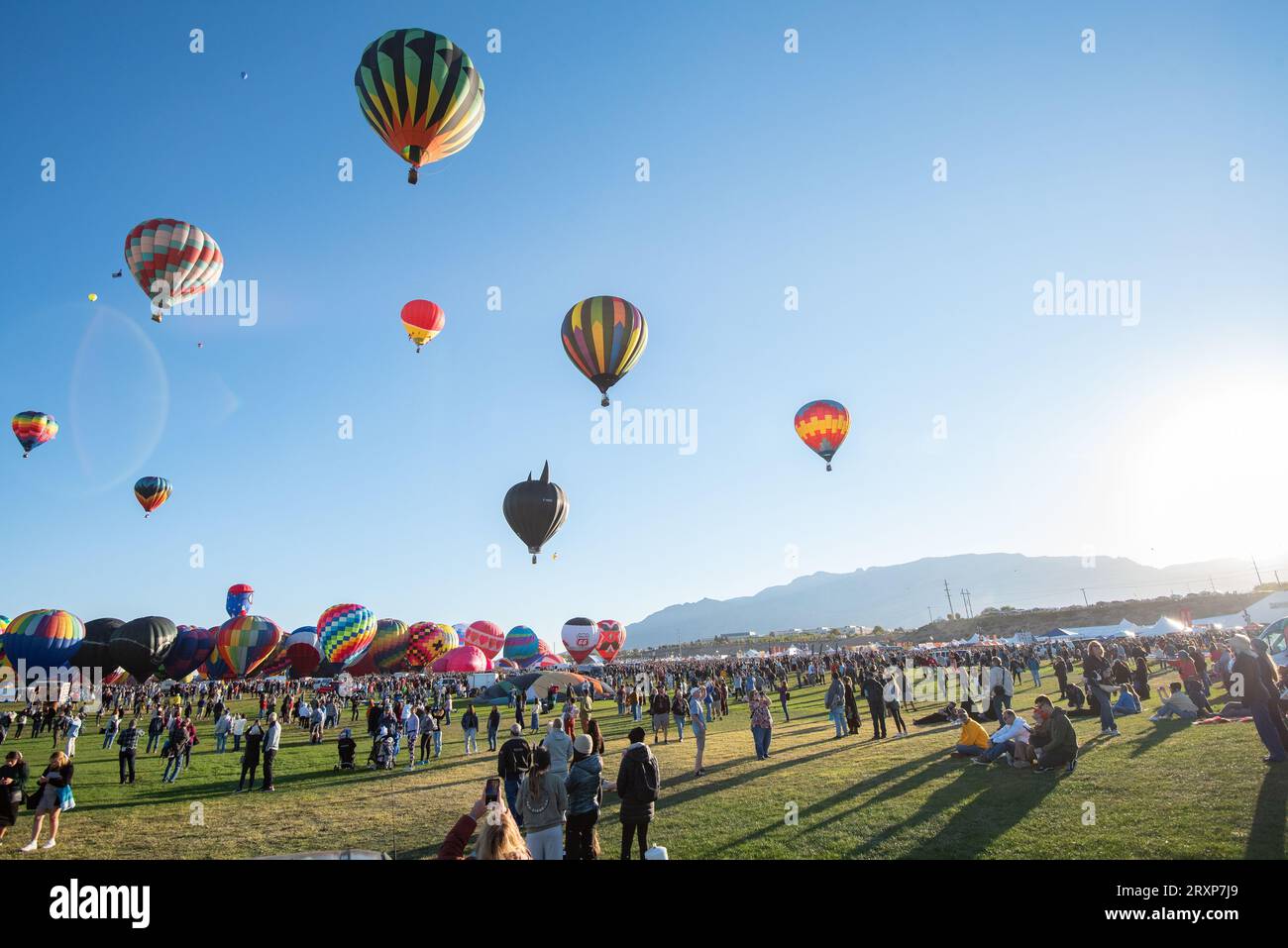 Albuquerque baloon festival hi-res stock photography and images - Alamy