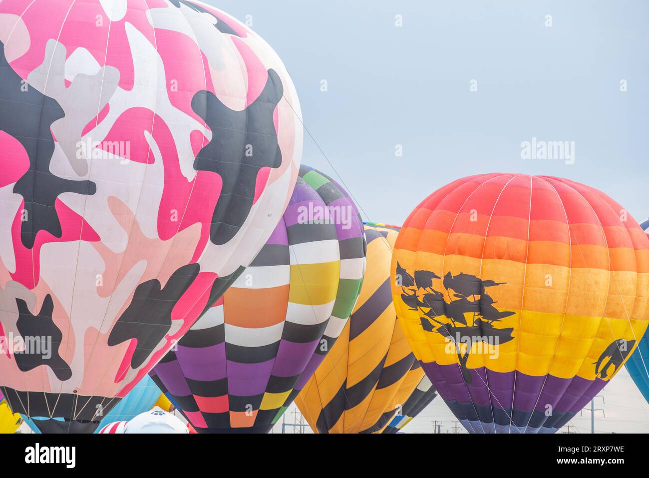Albuquerque baloon festival hi-res stock photography and images - Alamy