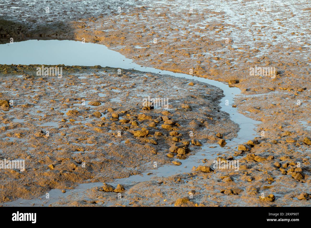 Arade River in Southern Portugal, lowering water level, fresh water ...