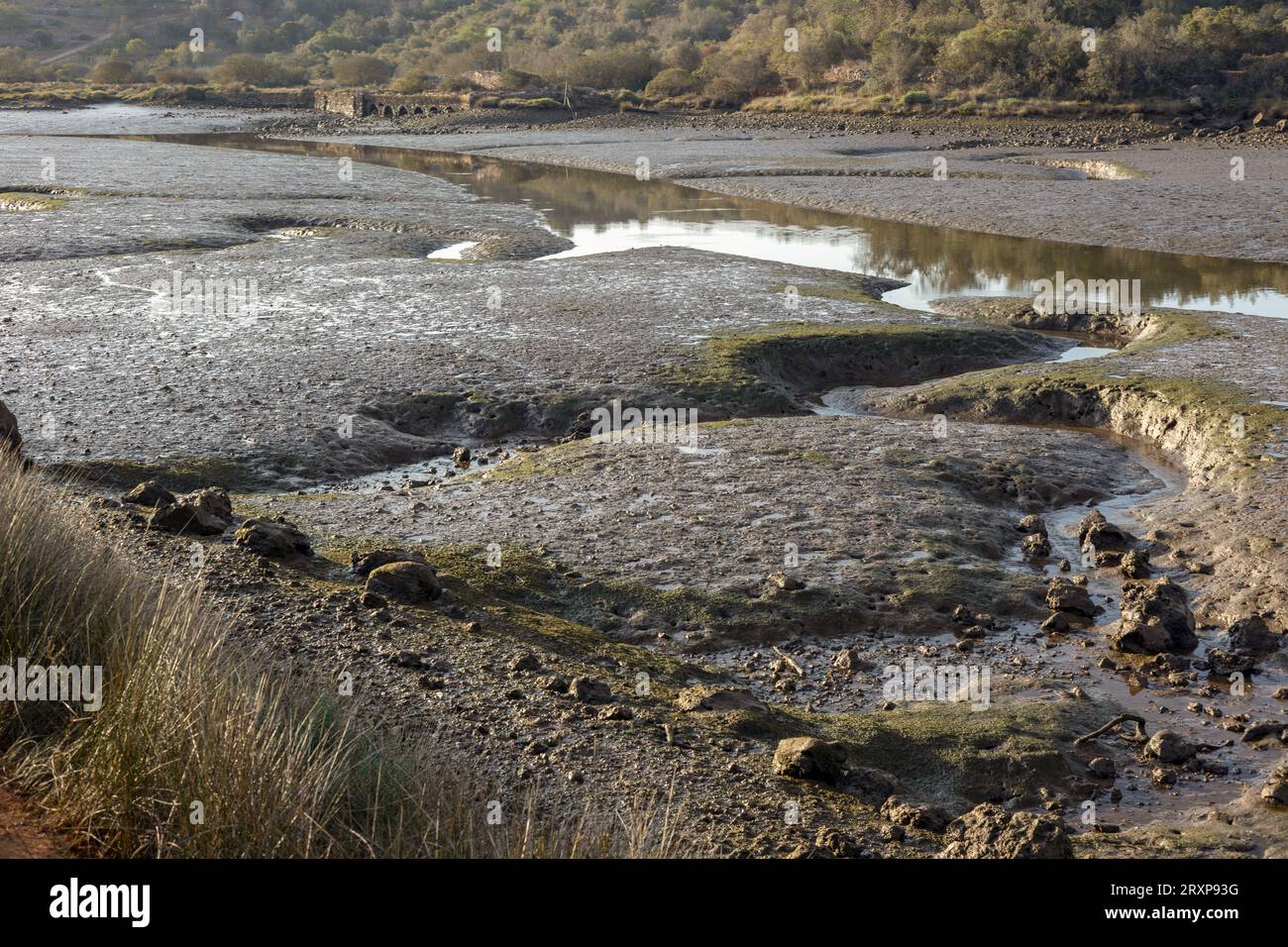 Arade River in Southern Portugal, lowering water level, fresh water ...