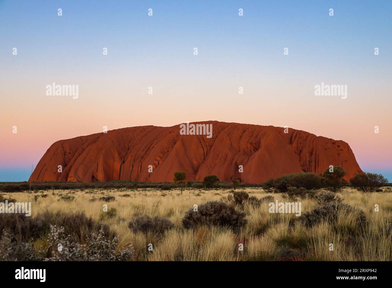 Uluru at sunset Stock Photo - Alamy