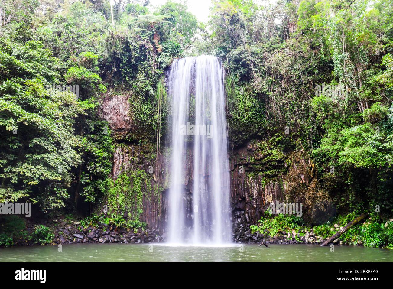 Millaa Millaa waterfall in Tablelands Region of Queensland, Australia ...