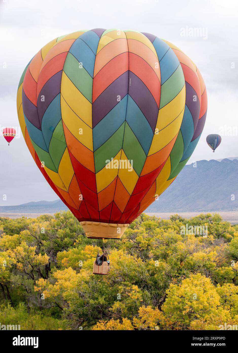 Balloons fly over Albuquerque in the International Balloon Fiesta Stock ...