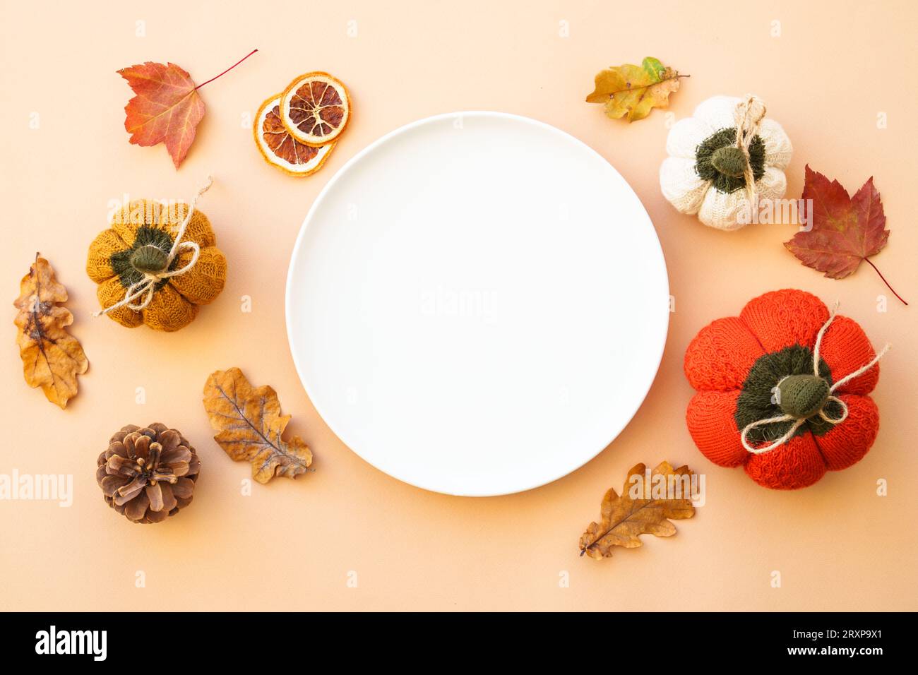 Autumn table setting on white background Stock Photo - Alamy
