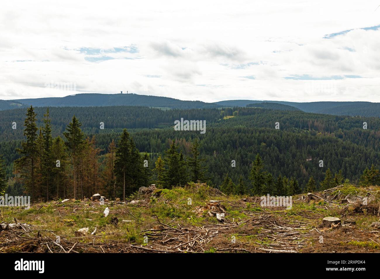 Thuringian scenery hi-res stock photography and images - Alamy