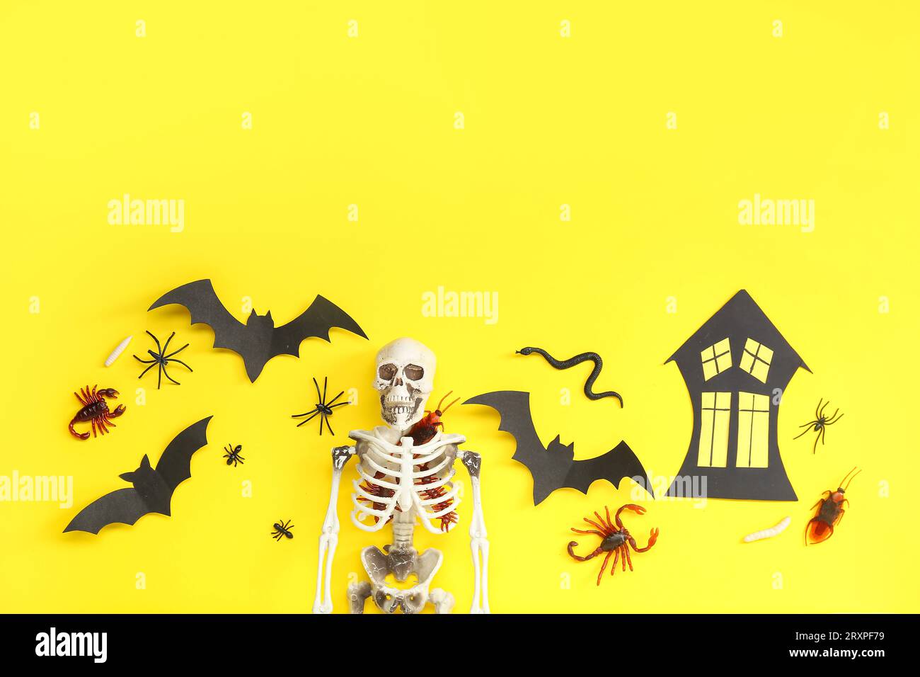 Halloween composition with candy bugs, skeleton and bats on yellow ...