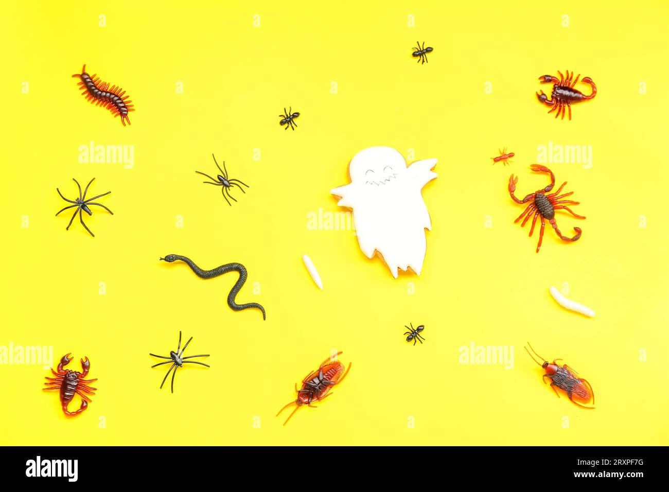 Halloween composition with ghost and bugs on yellow background Stock ...