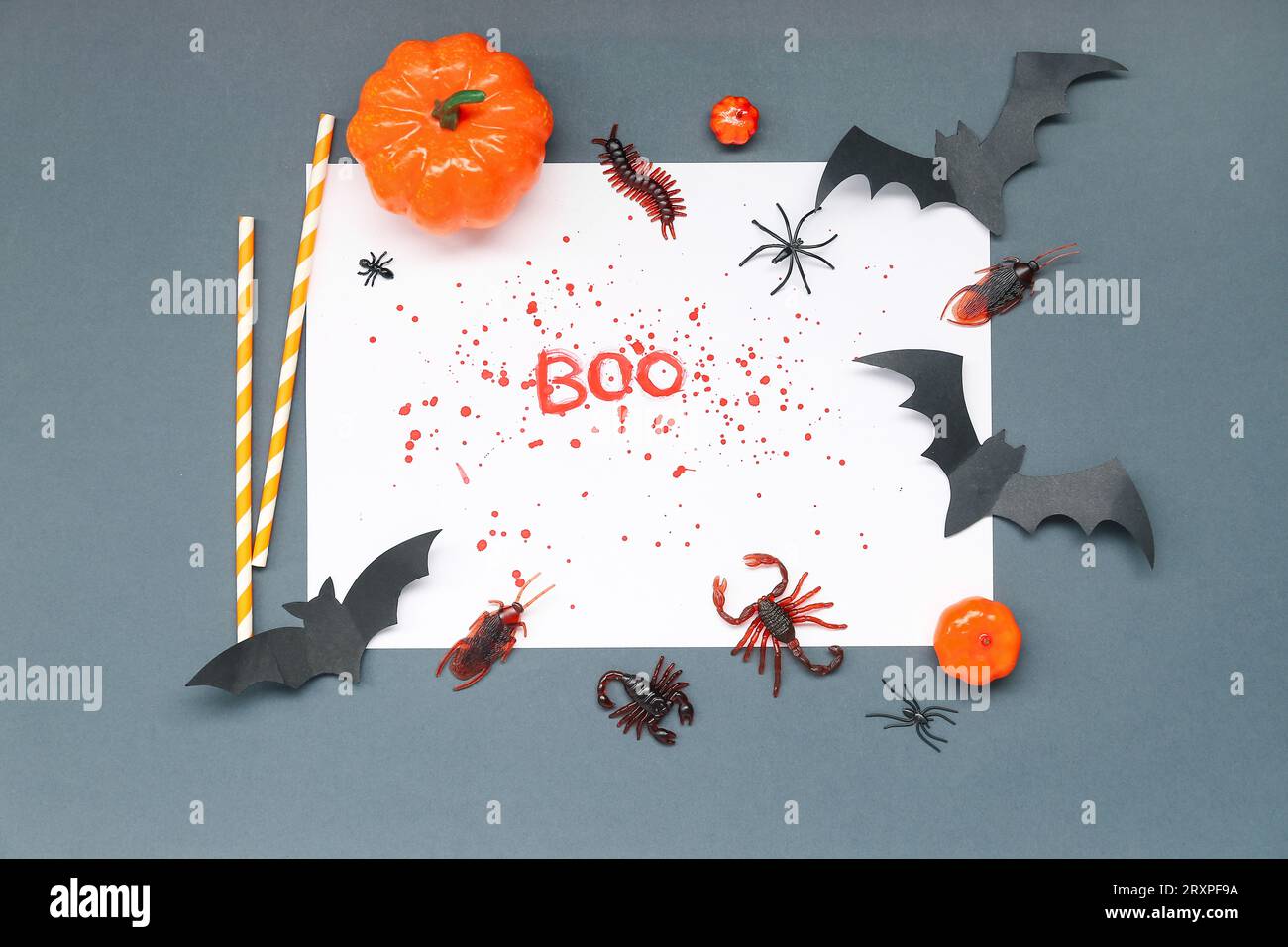 Halloween composition with bats, candy bugs, pumpkins and word BOO made ...
