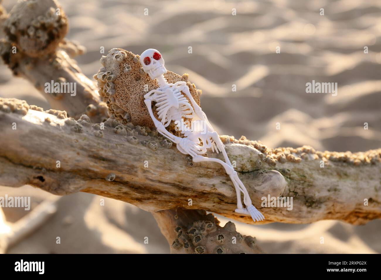 Skeleton sunbathing hi-res stock photography and images - Alamy