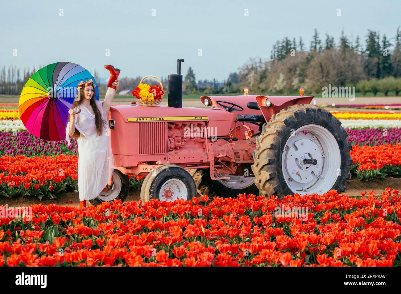 Woman holding colorful umbrella doing split on top of rusty tractor ...