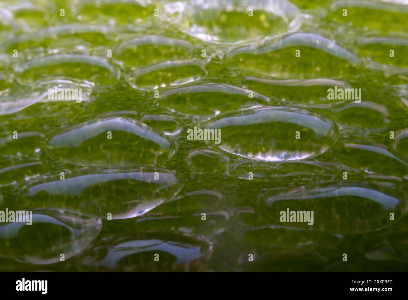 African ice vegetables hi-res stock photography and images - Alamy