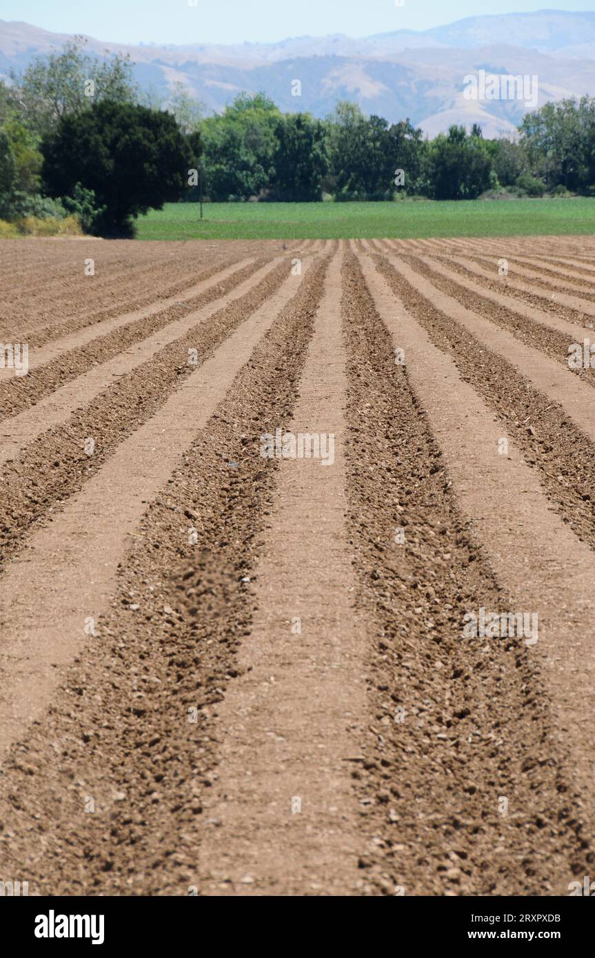 Parcel of land hi-res stock photography and images - Alamy