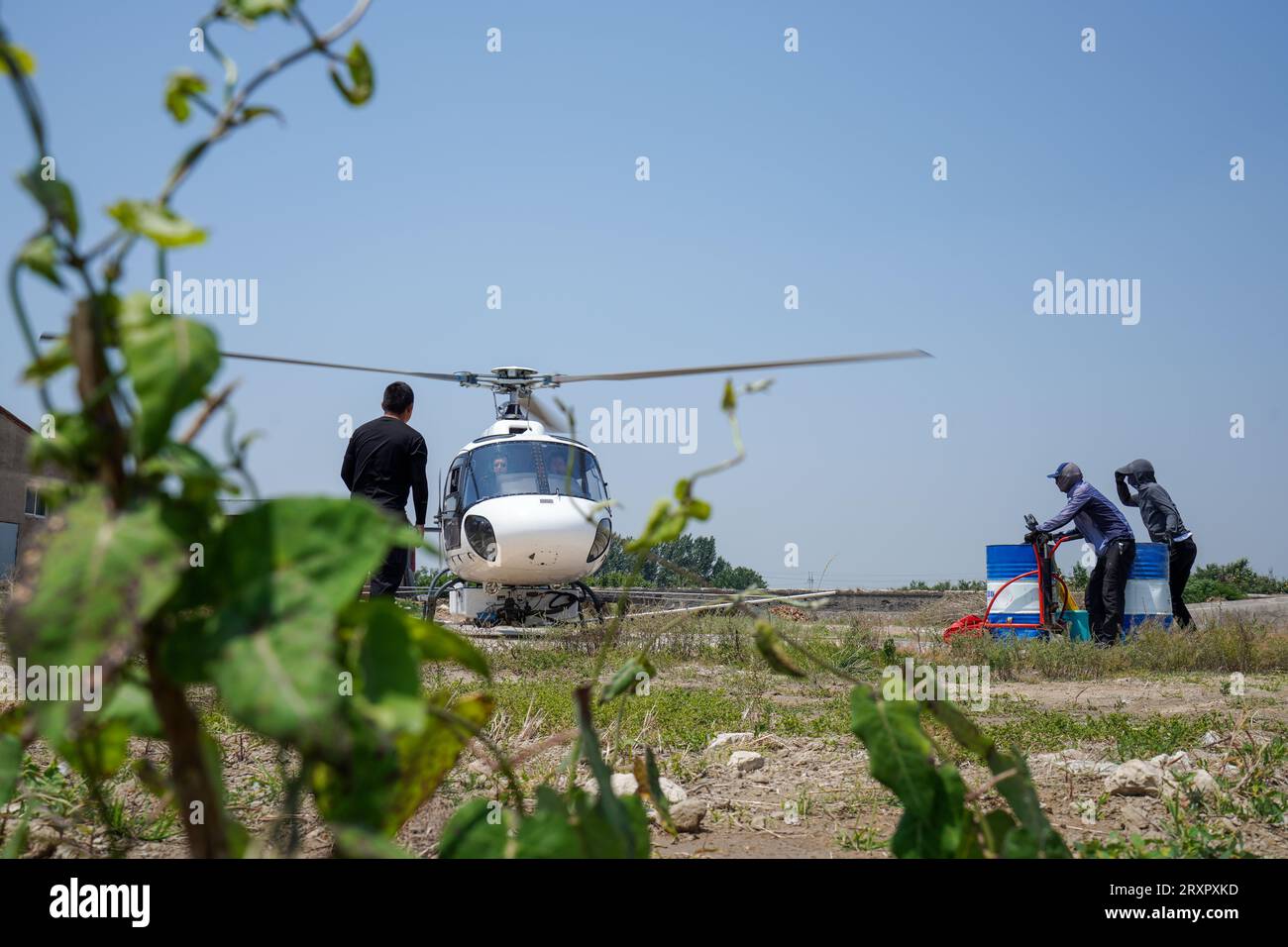 Luannan County, China - June 5, 2023: Agricultural helicopters take off ...