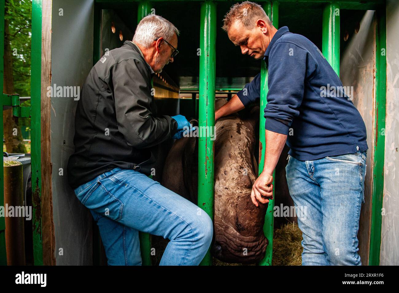 Blood list hi-res stock photography and images - Alamy