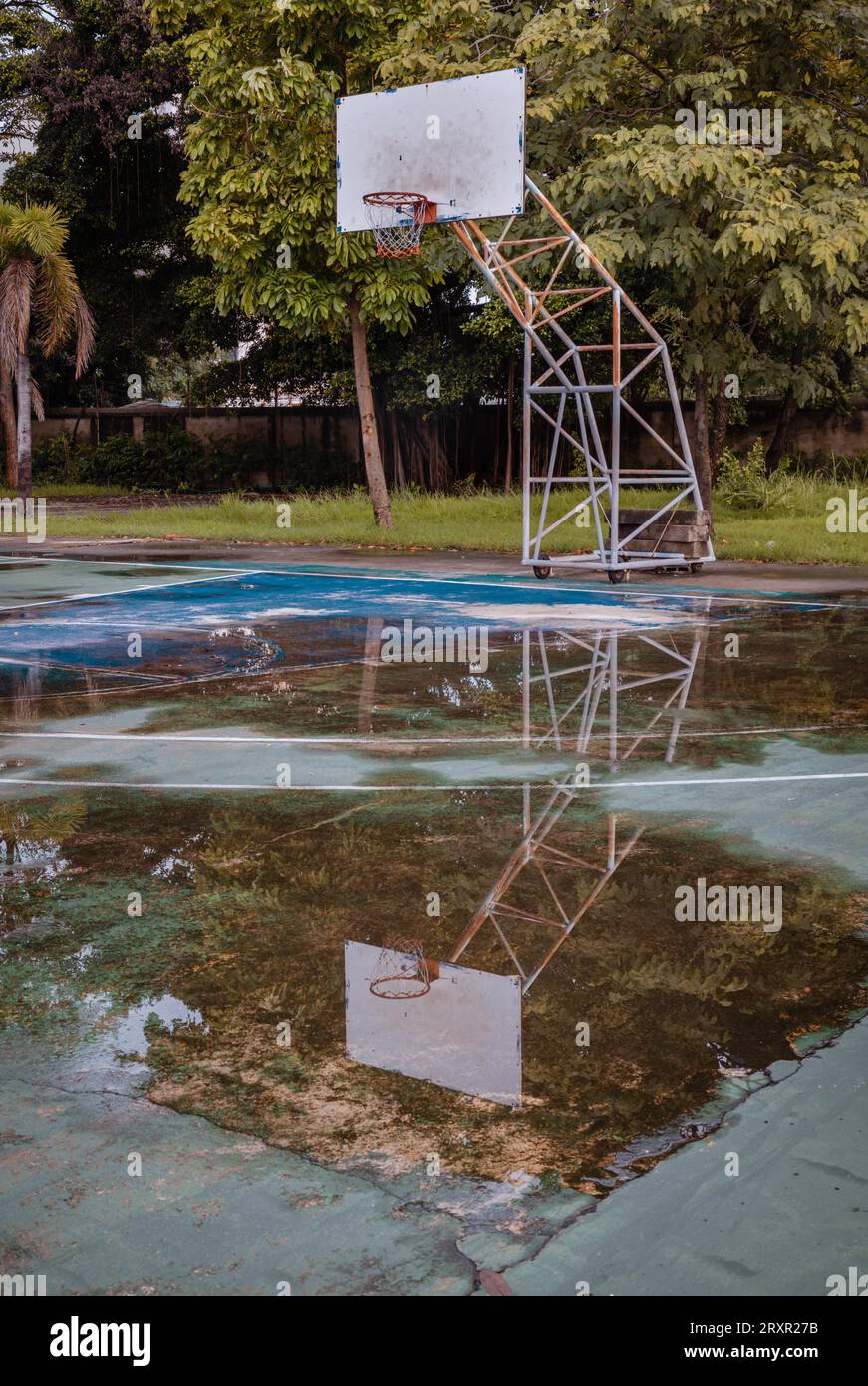 Basketball wooden backboard with the hoop metal ring and the white net ...
