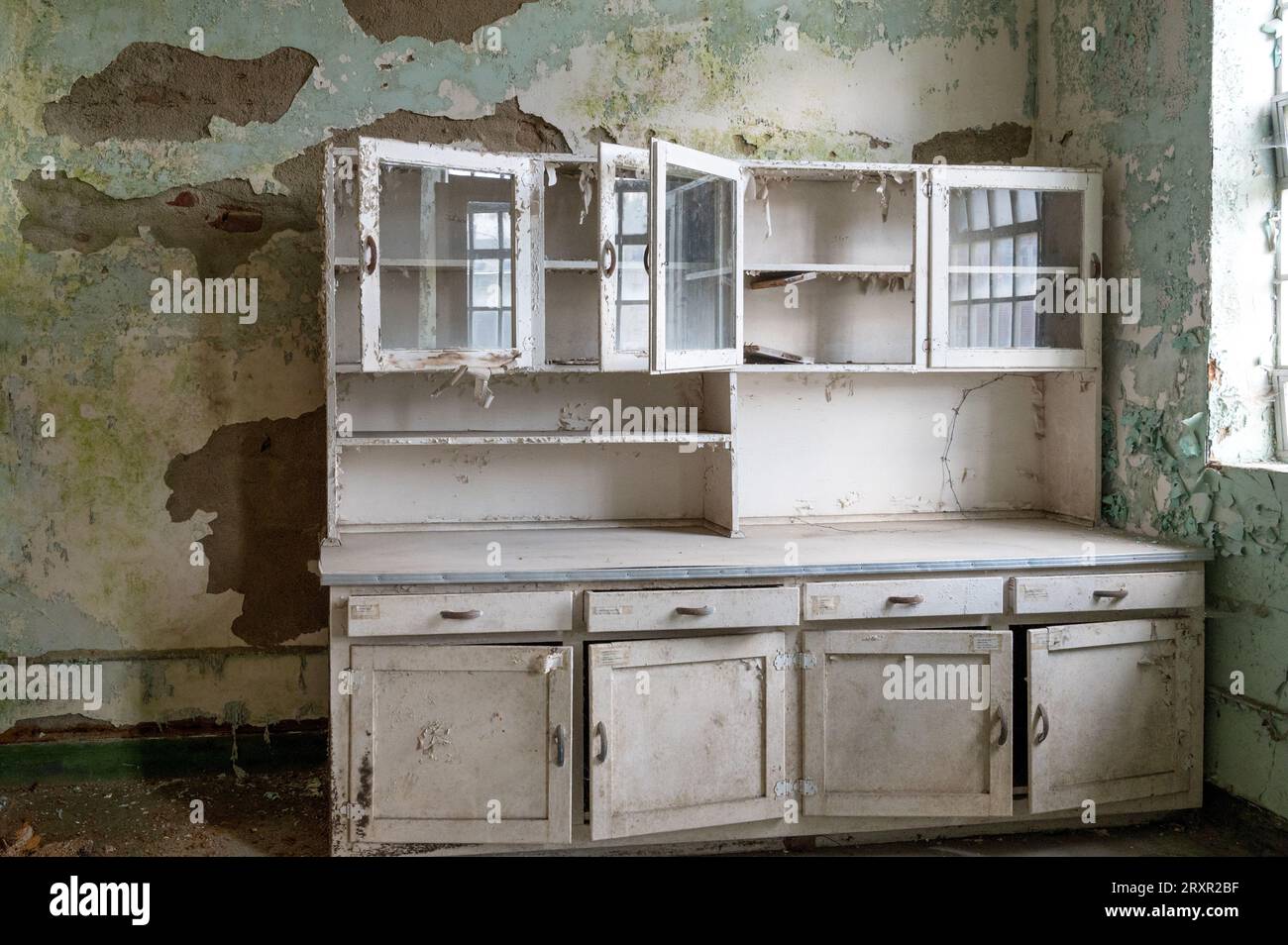 Detail of Trans-Allegheny Lunatic Asylum in Weston, WV Stock Photo - Alamy