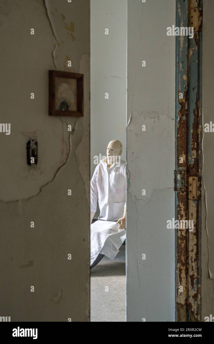Lunatic Insane Asylum