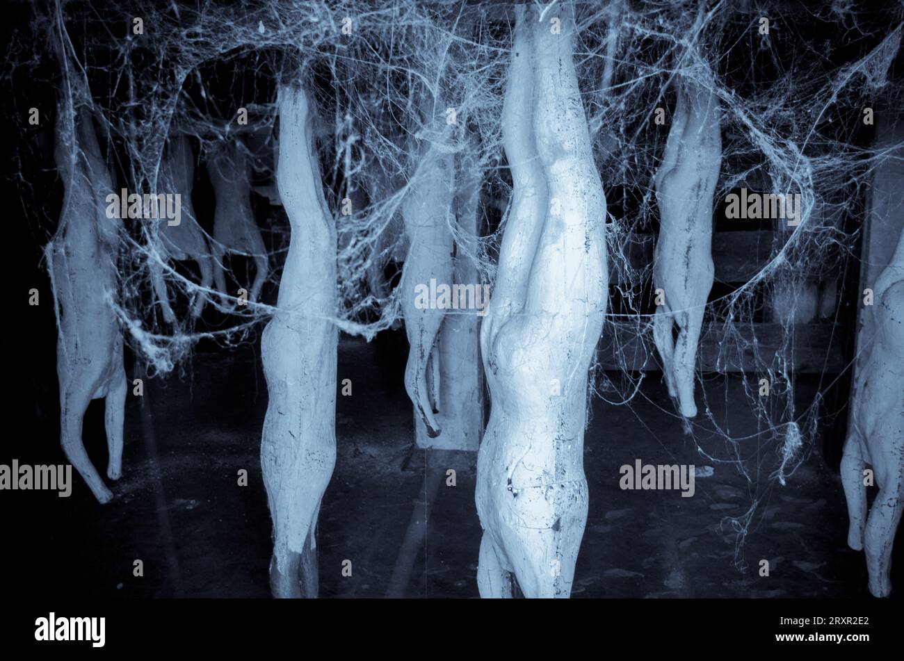 Haunted House Insane Asylum