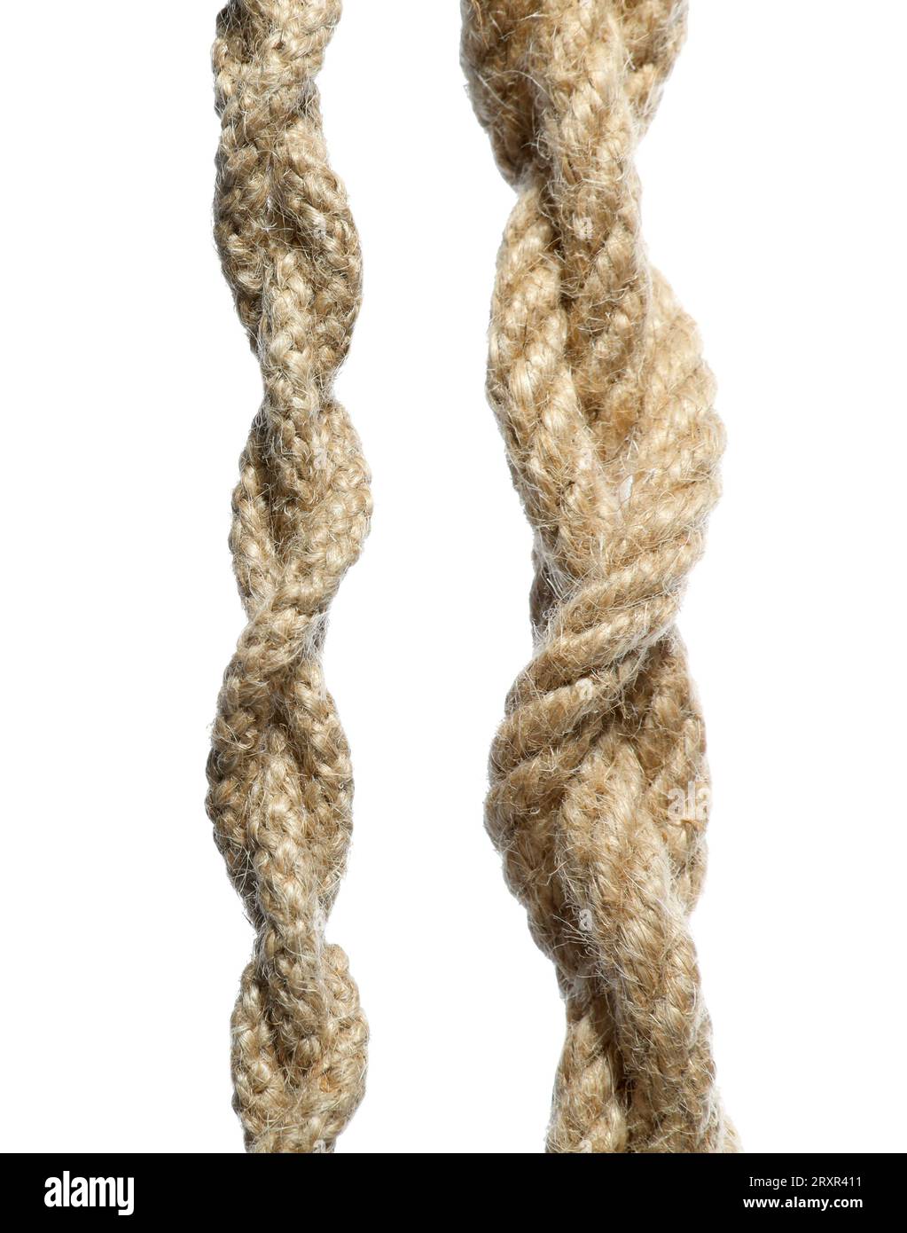 Two hemp ropes with knots isolated on white Stock Photo - Alamy
