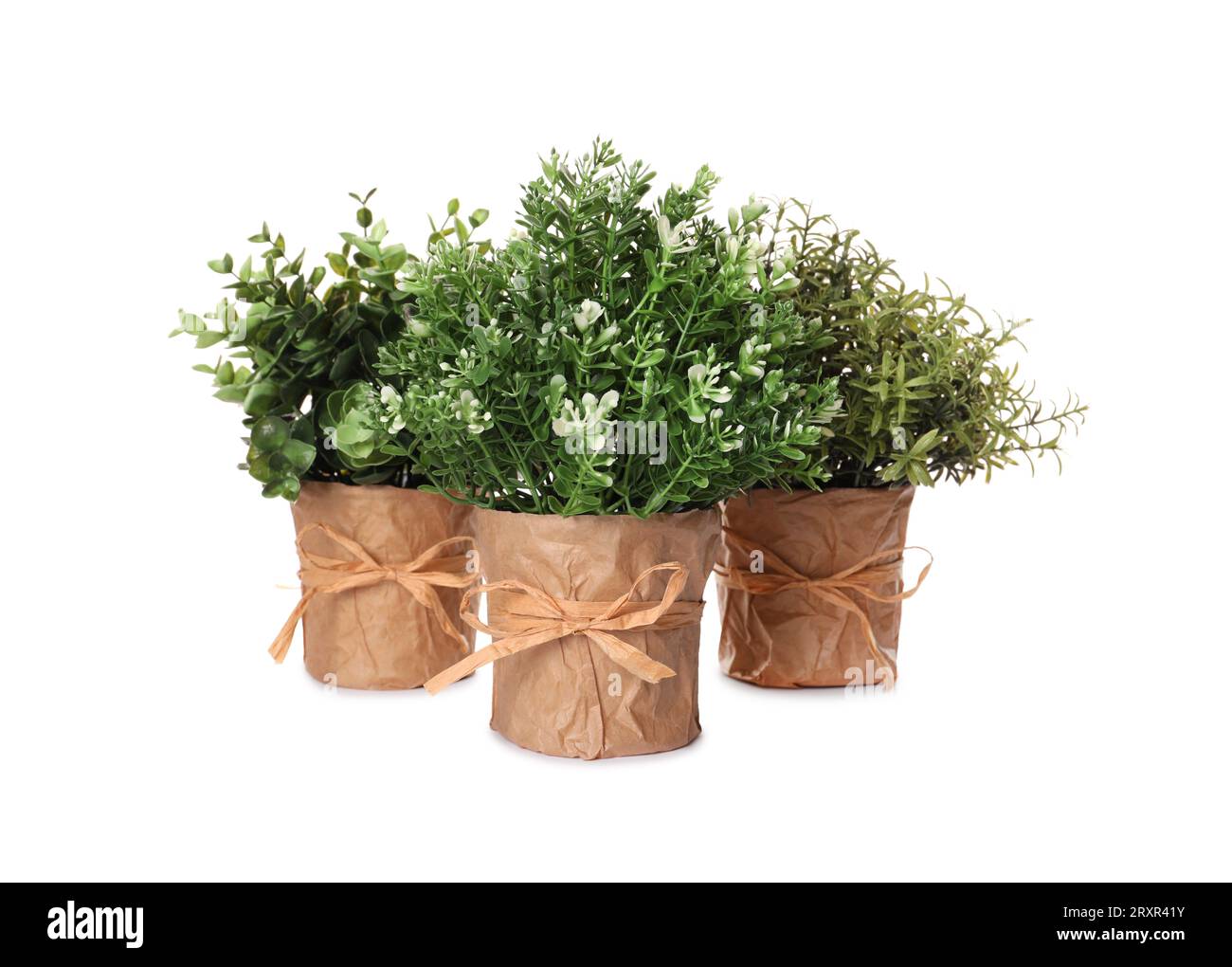Artificial potted herbs on white background. Home decor Stock Photo - Alamy