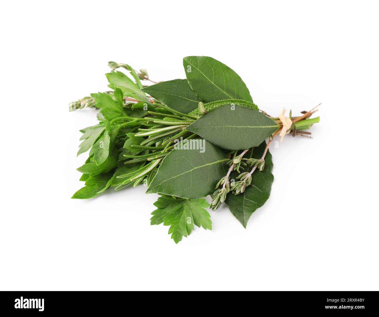 Bundle of aromatic bay leaves and different herbs isolated on white ...