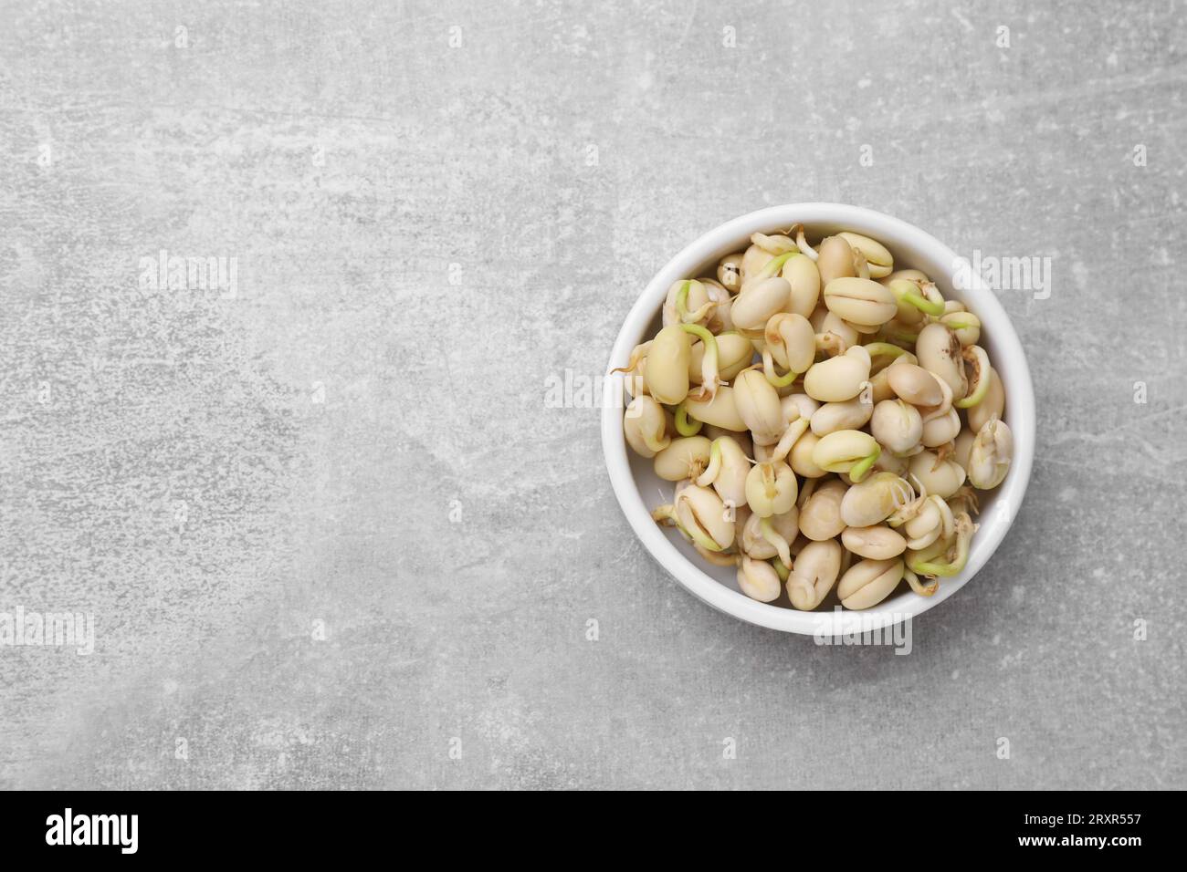 Sprouted kidney beans in bowl on light grey table, top view. Space for ...