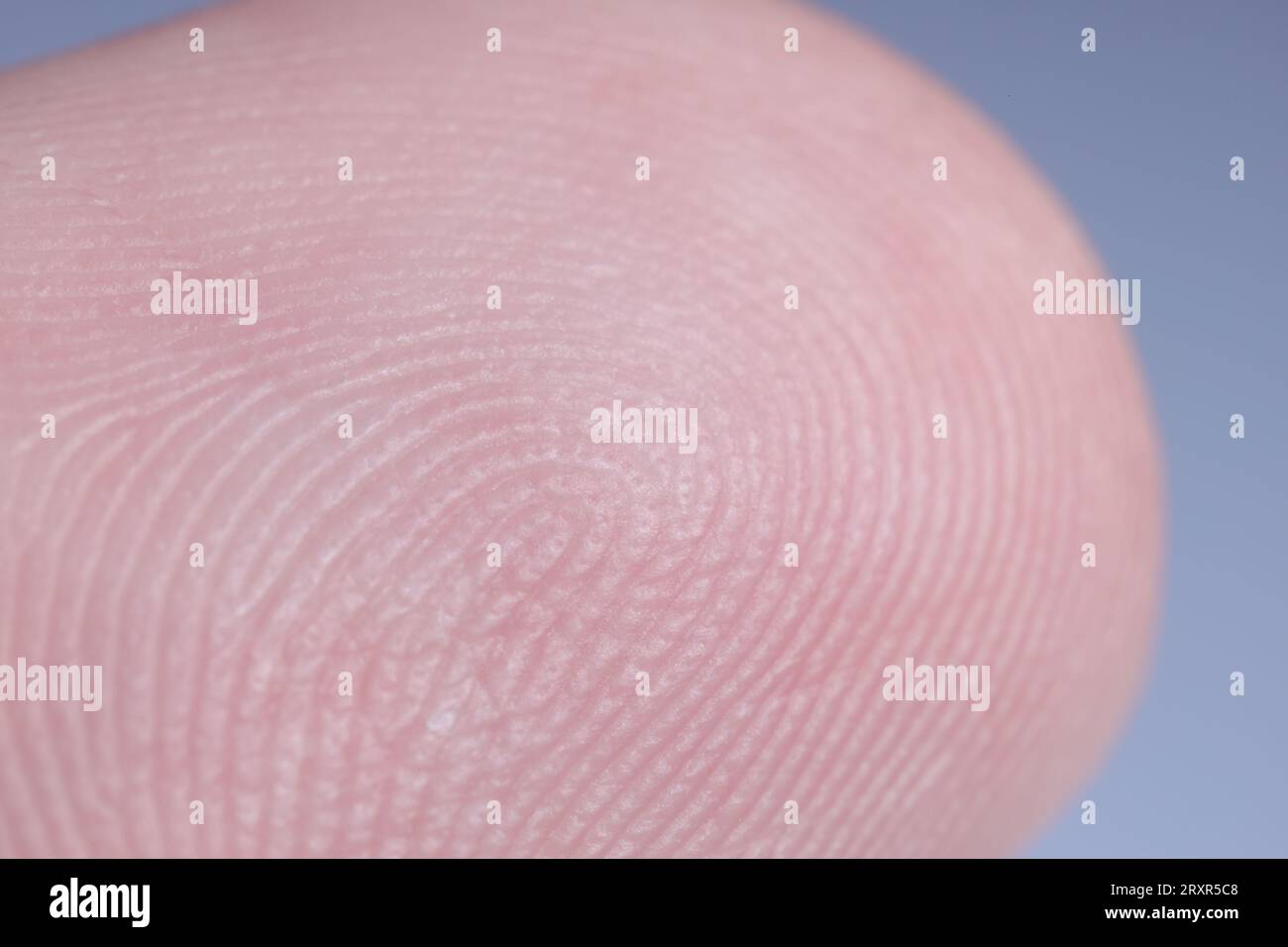 Friction ridges hi-res stock photography and images - Alamy