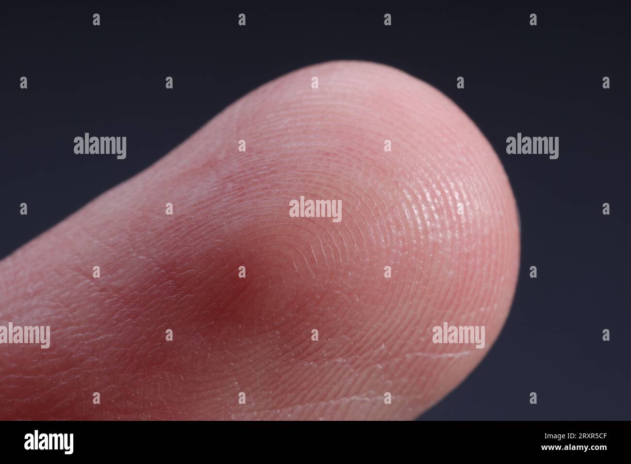 Finger with friction ridges on dark background, macro view Stock Photo ...