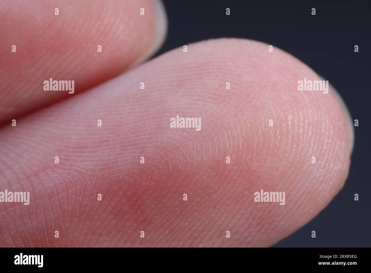 Finger with friction ridges on dark background, macro view Stock Photo ...