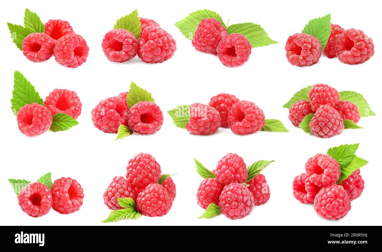 Set with fresh ripe raspberries and green leaves isolated on white ...