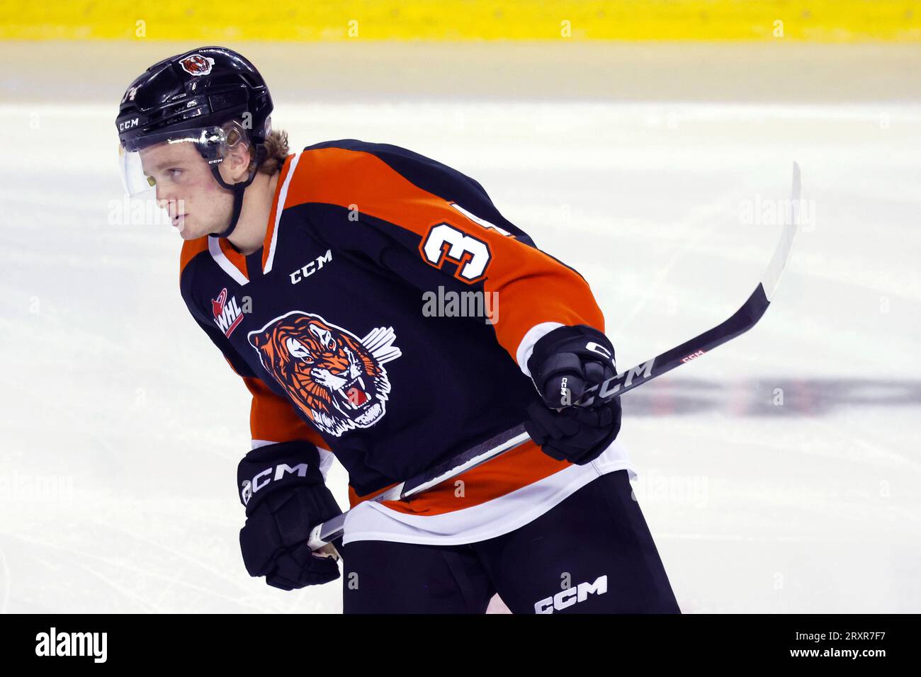 Medicine Hat Tigers player Andrew Basha during a WHL (Western Hockey ...
